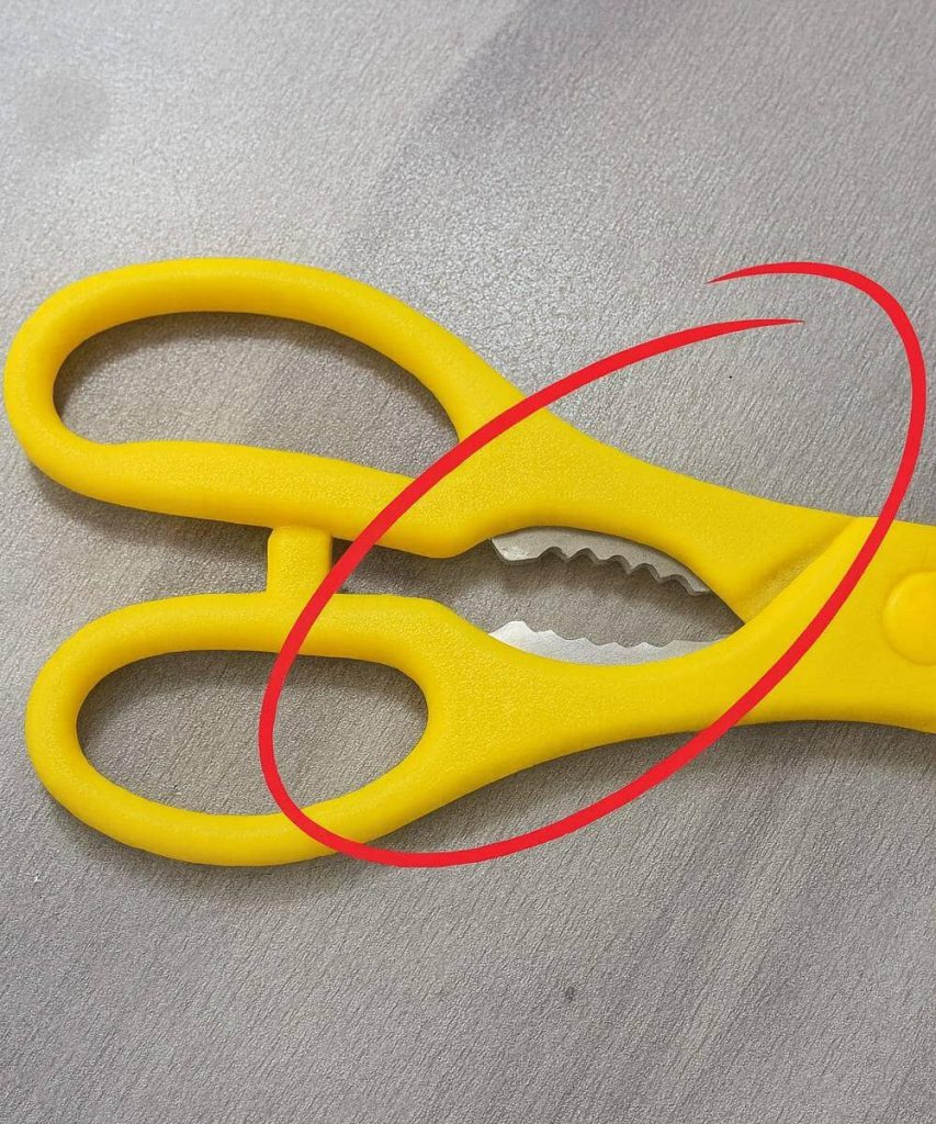 What’s That Strange Toothy Part on Kitchen Scissors For? – Best Recipes